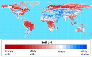 Science enlists nature and collaboration to ‘neutralise’ acidic soils ...